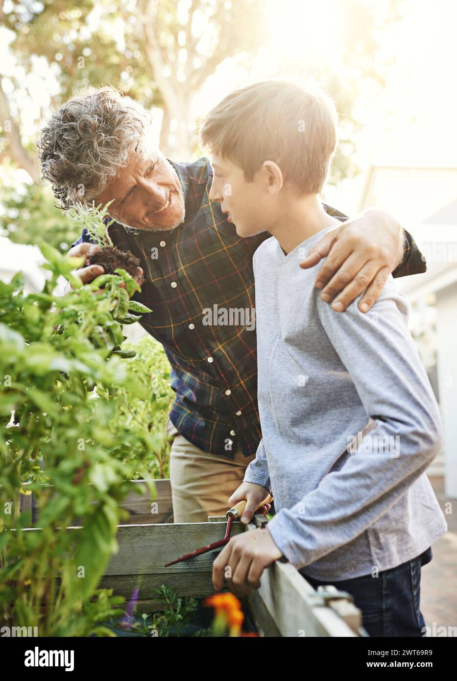 Gardening, plants and grandfather teaching boy on greenery growth ...