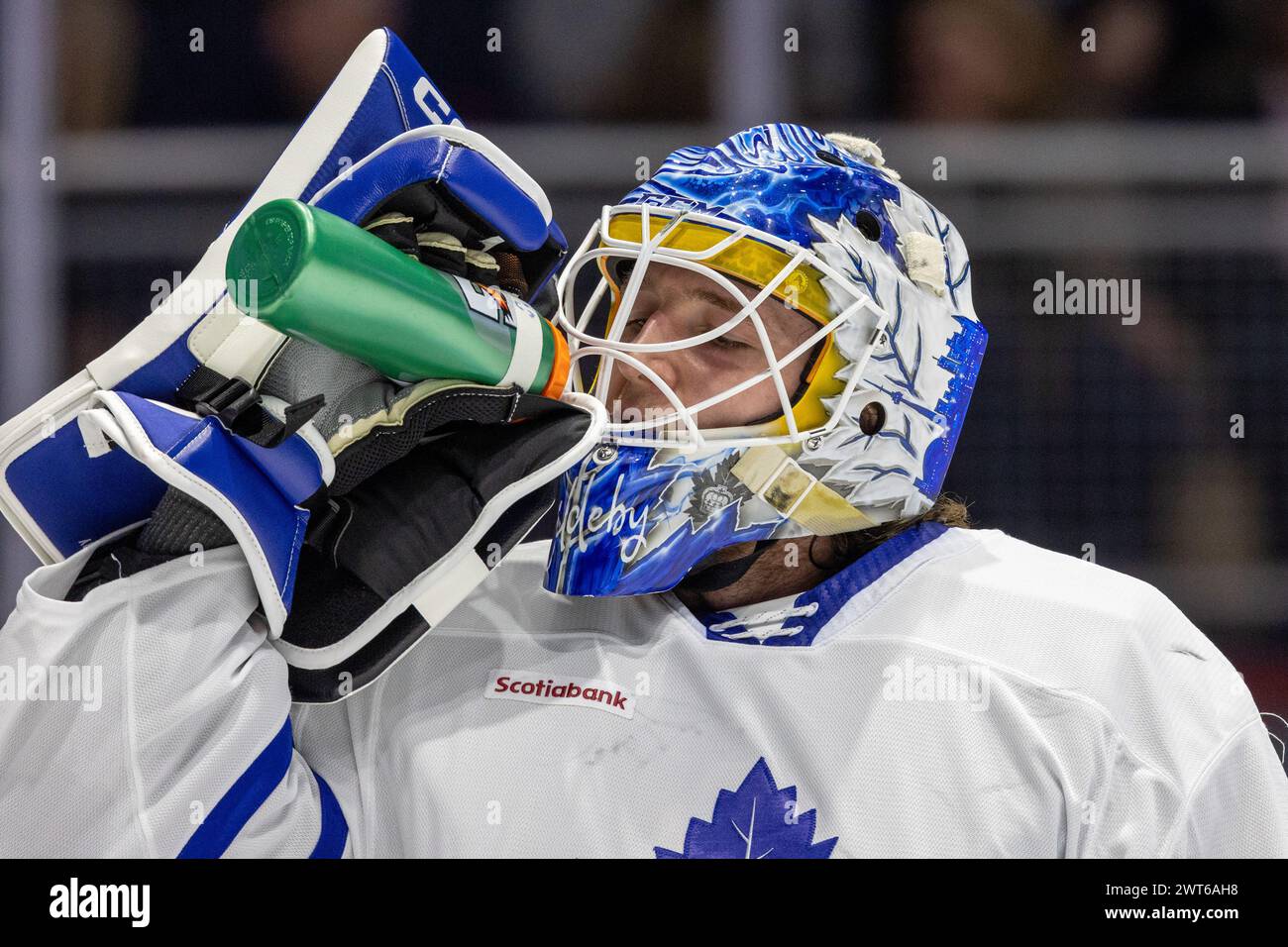 March 15th, 2024: Toronto Marlies goaltender Dennis Hildeby (41) takes ...