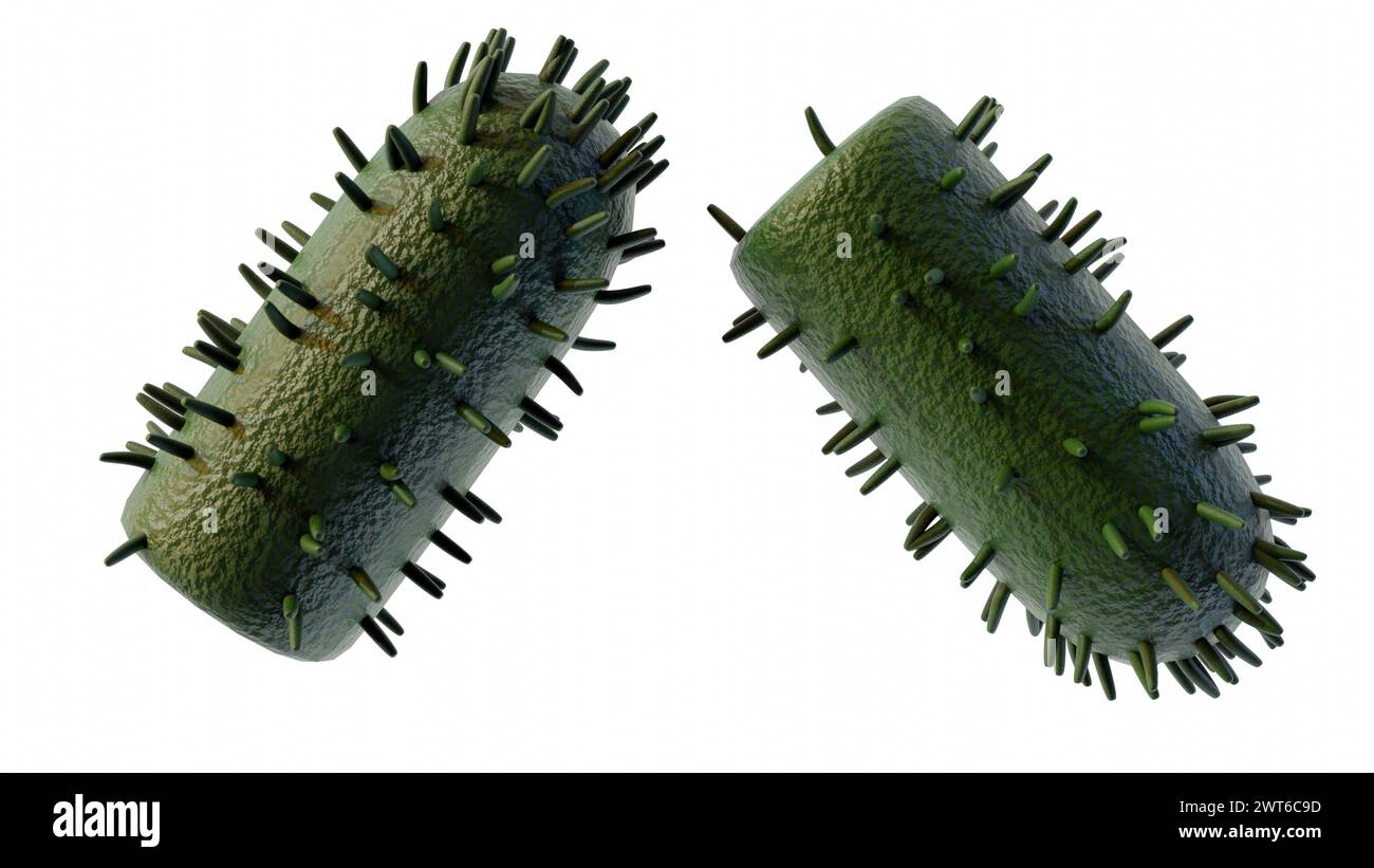 3d animation of lyssavirus cause fatal acute viral encephalomyelitis ...