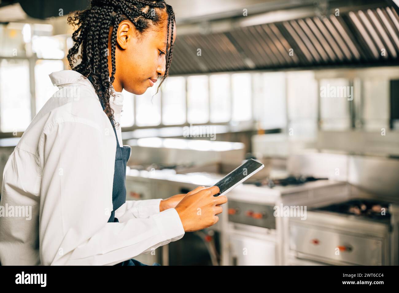 Female chef in world famous restaurant's modern kitchen cooks using ...