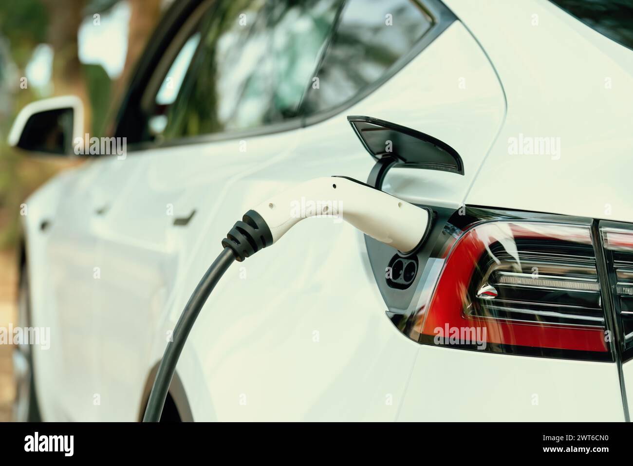 Closeup EV charger handle plugged in or connect to electric car ...