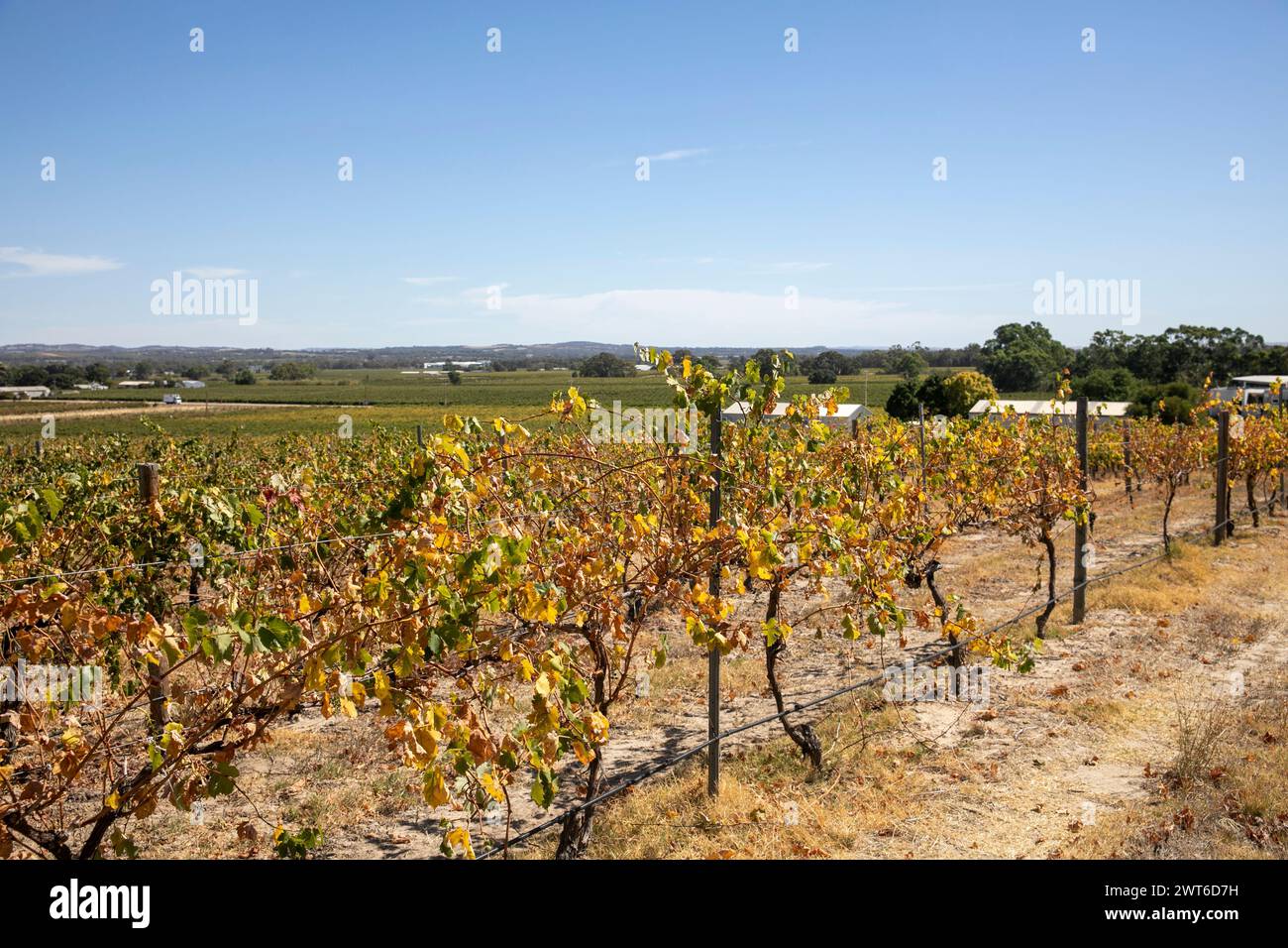 Barossa Valley South Australia, Australia's oldest wine growing region ...