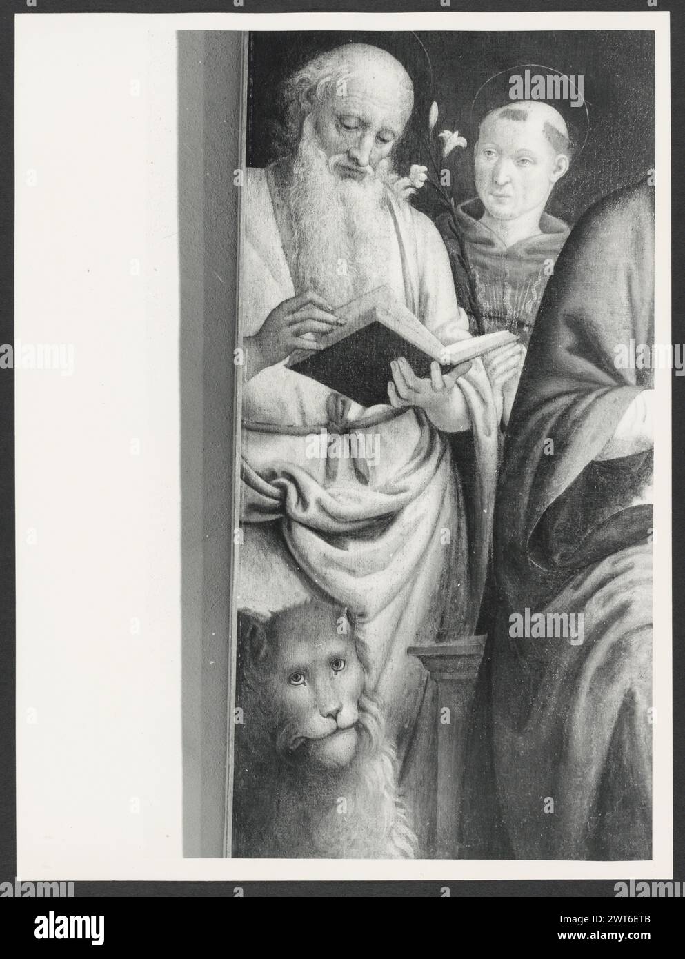 Umbria Terni Acquasparta Palazzo Cesi0. Hutzel, Max 1960-1990 German ...