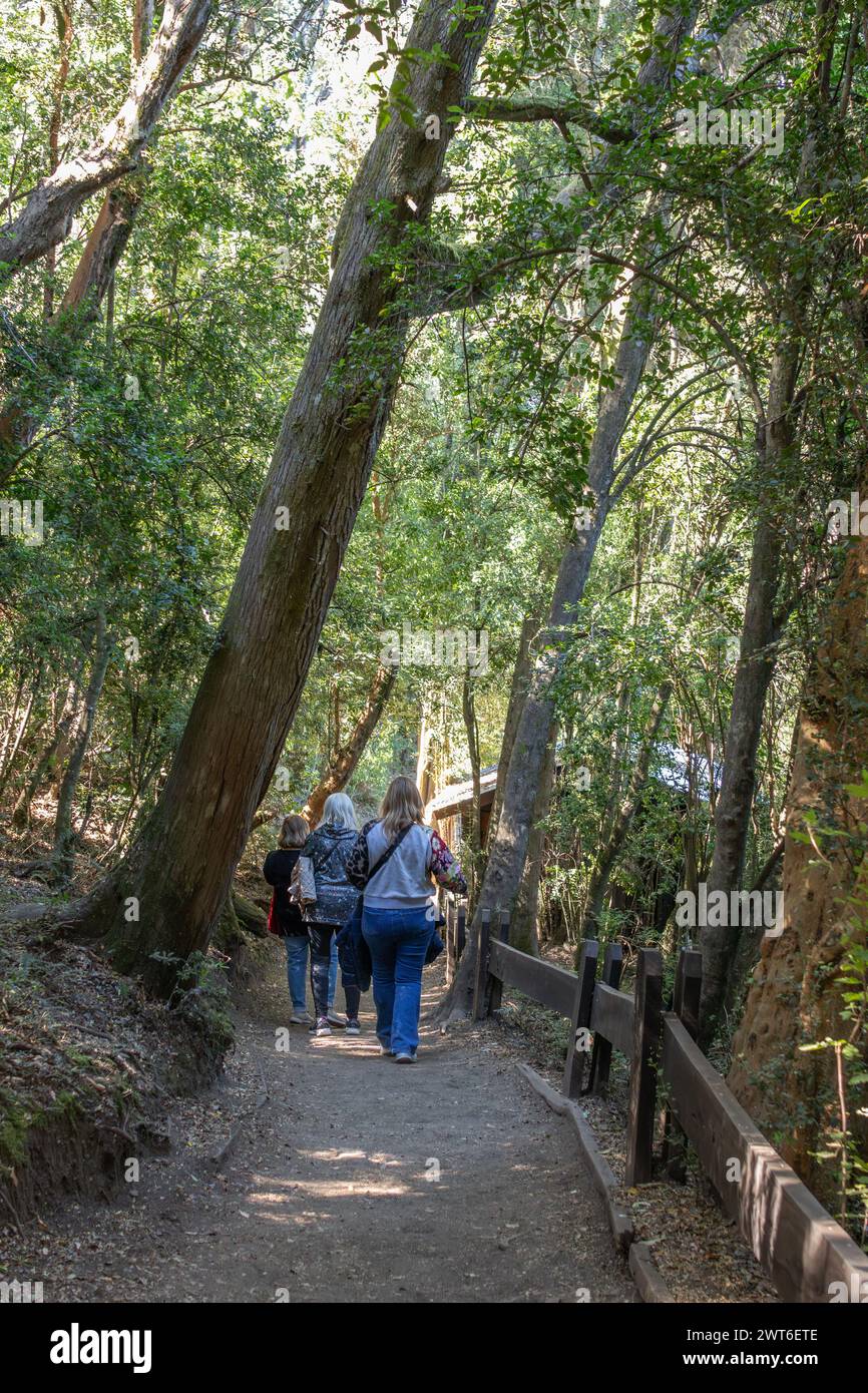 Vertical photo from behind of tourists walking through a narrow stair ...