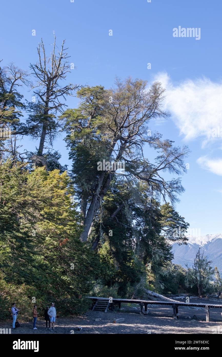Bosque ecuador hi-res stock photography and images - Alamy