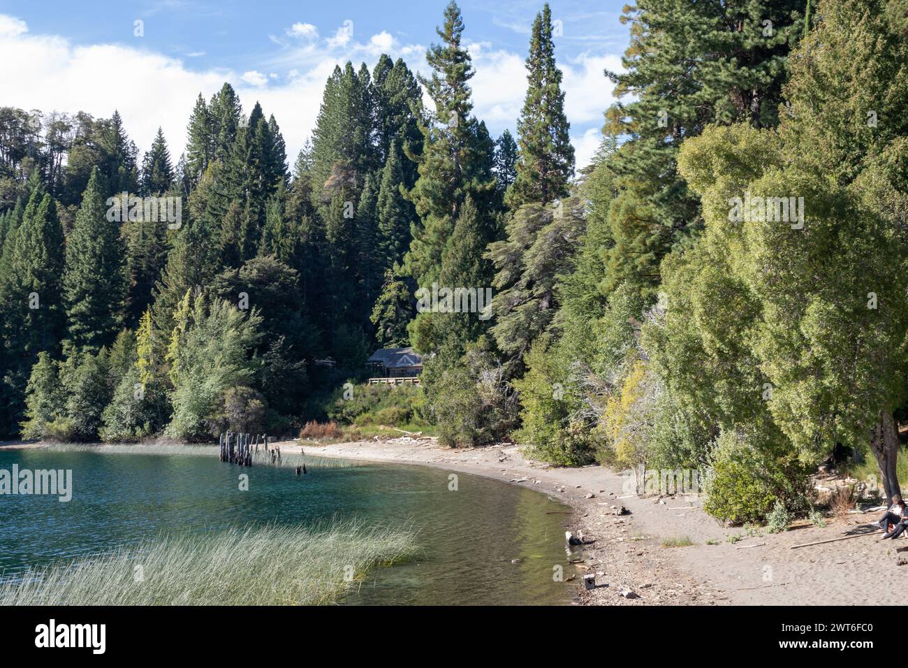 Beautiful fresh nature view of the shore of a crystaline wavy river ...