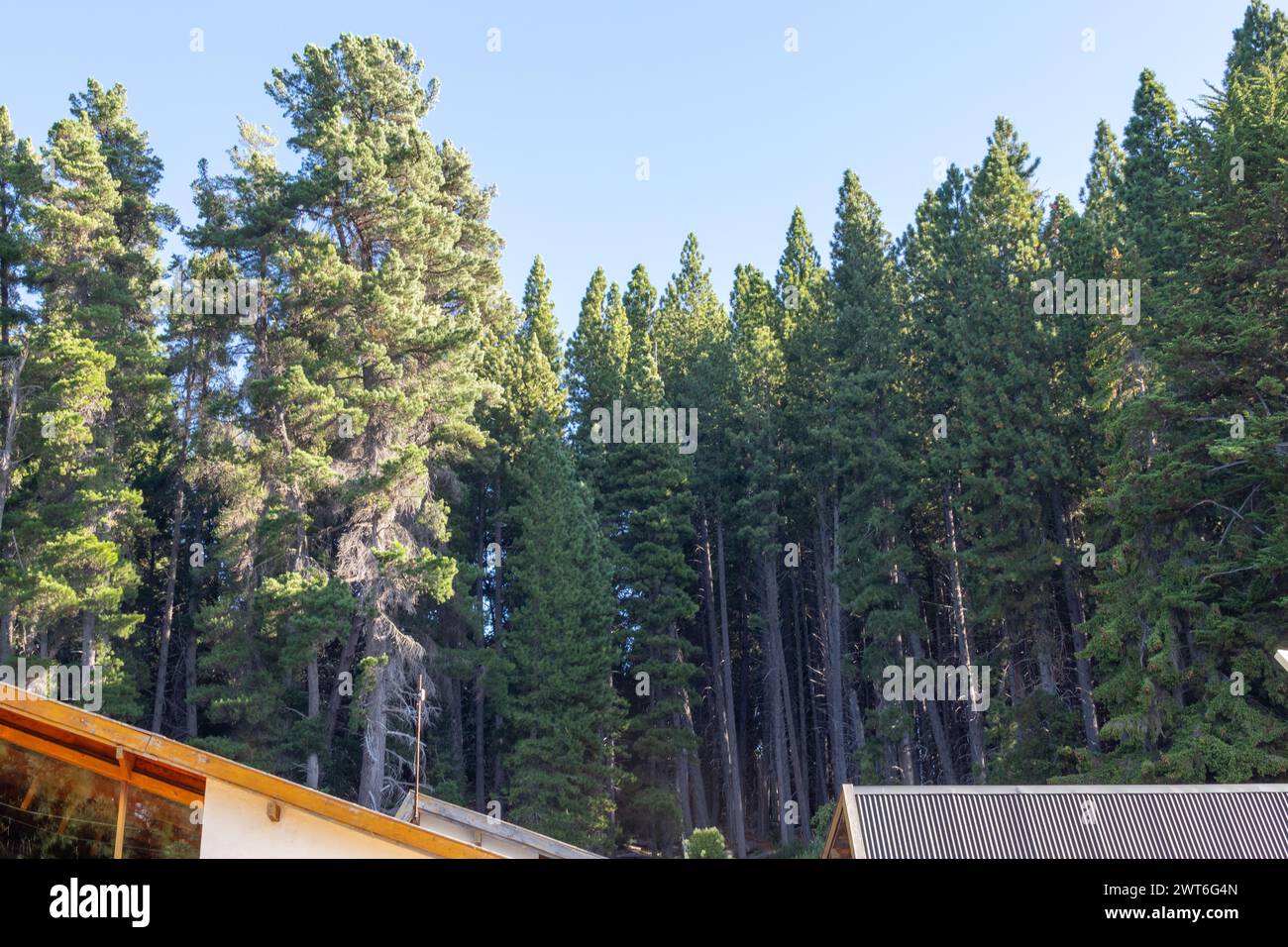 Magical pretty scenery of golden sunshine breaking through beautiful ...