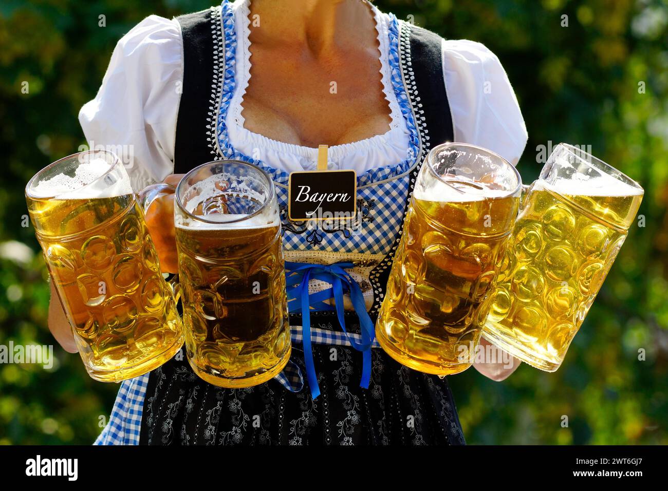 A waitress in a dirndl serves four litres of beer in a beer mug ...