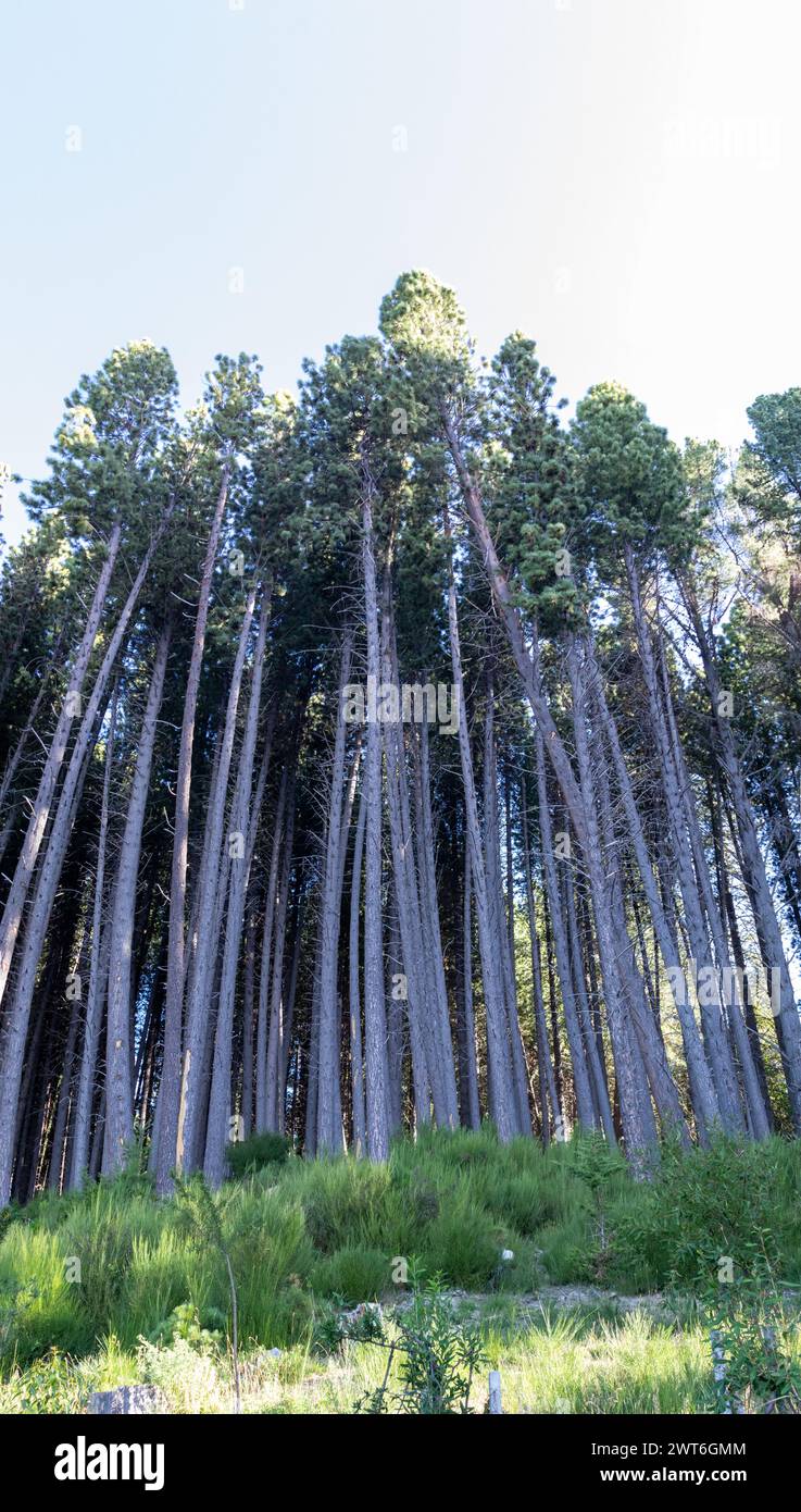 Magical pretty scenery of golden sunshine breaking through beautiful ...