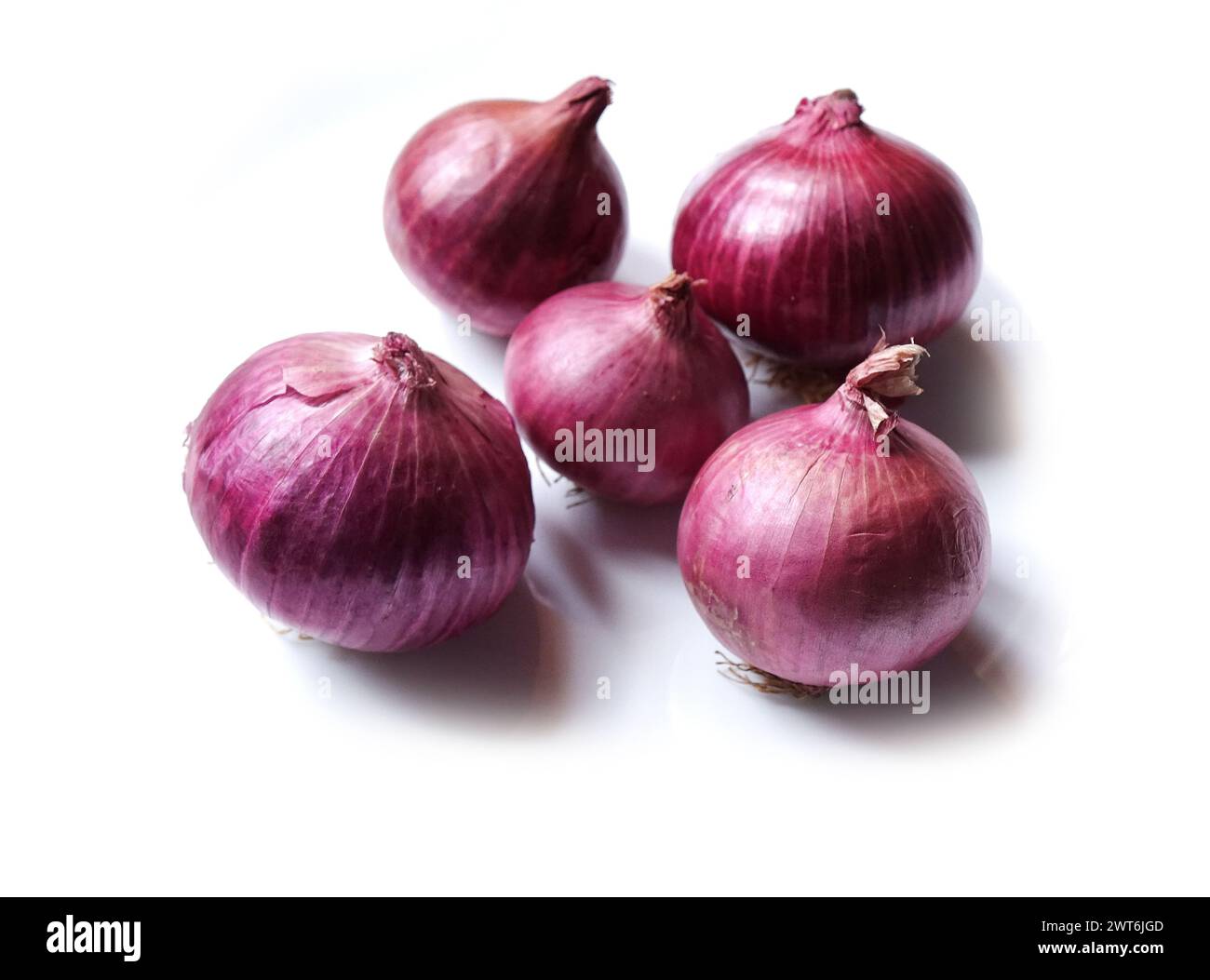 Nice Big onion in white background Stock Photo - Alamy
