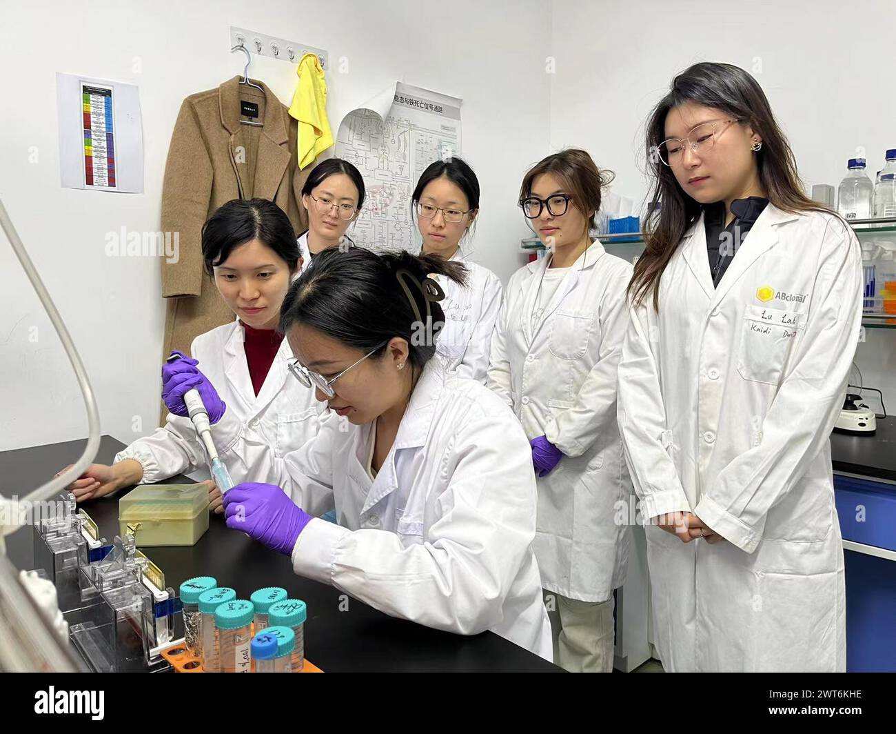Tianjin. 16th Mar, 2024. Researchers from the School of Life Sciences ...
