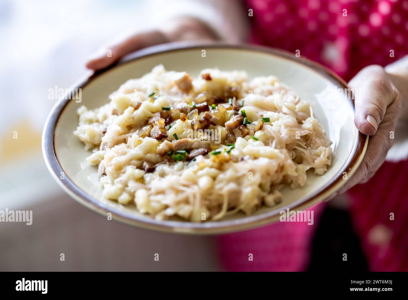 The hands of a senior home cook hold a plate with a national Slovak ...
