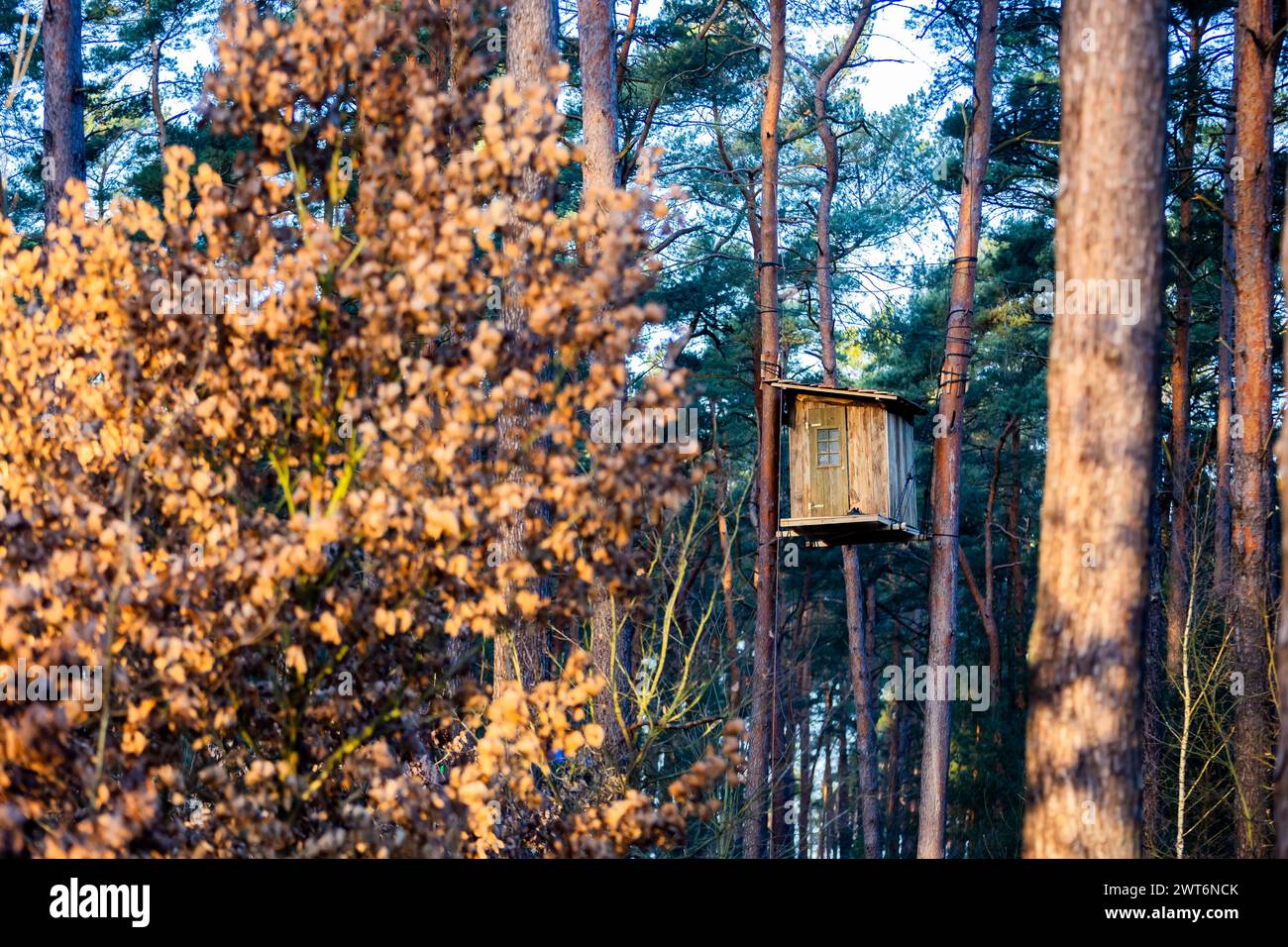 16 March 2024, Brandenburg, Grünheide: A tree house in a camp run by ...