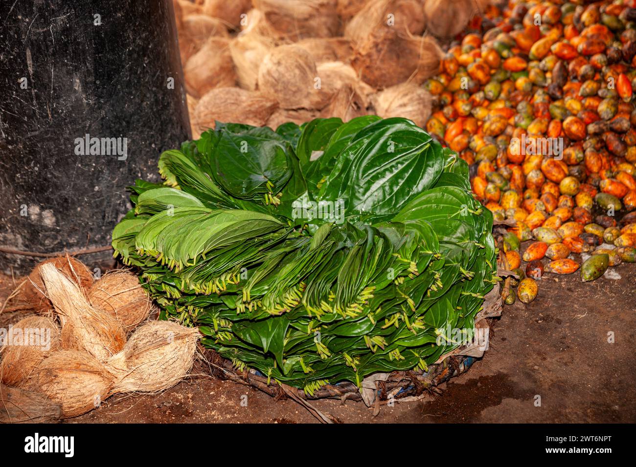 Sri Lanka, Galle, Betel leaves and areca nuts Stock Photo - Alamy