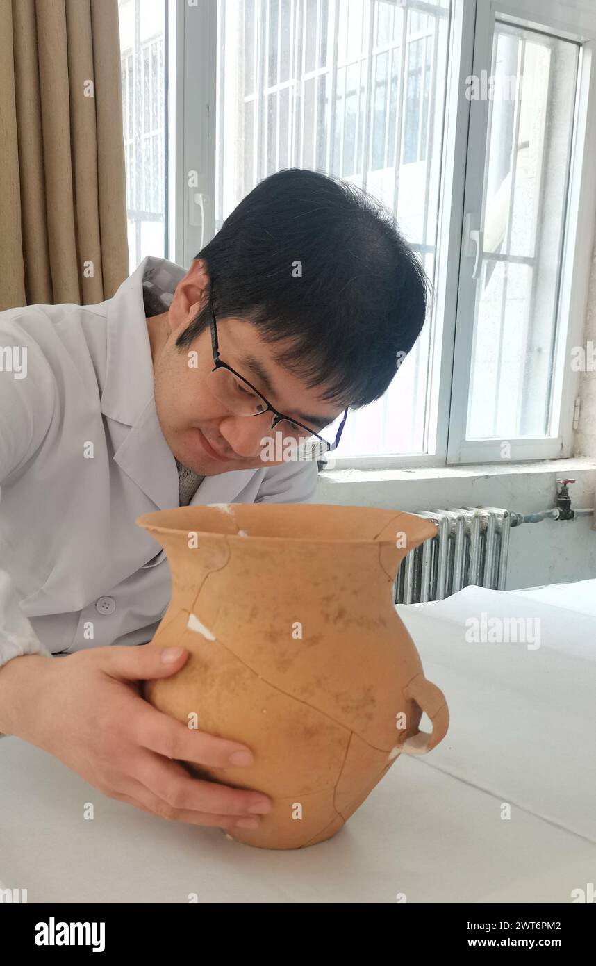 Xining. 6th Feb, 2024. A staff member of Qinghai Museum checks newly ...