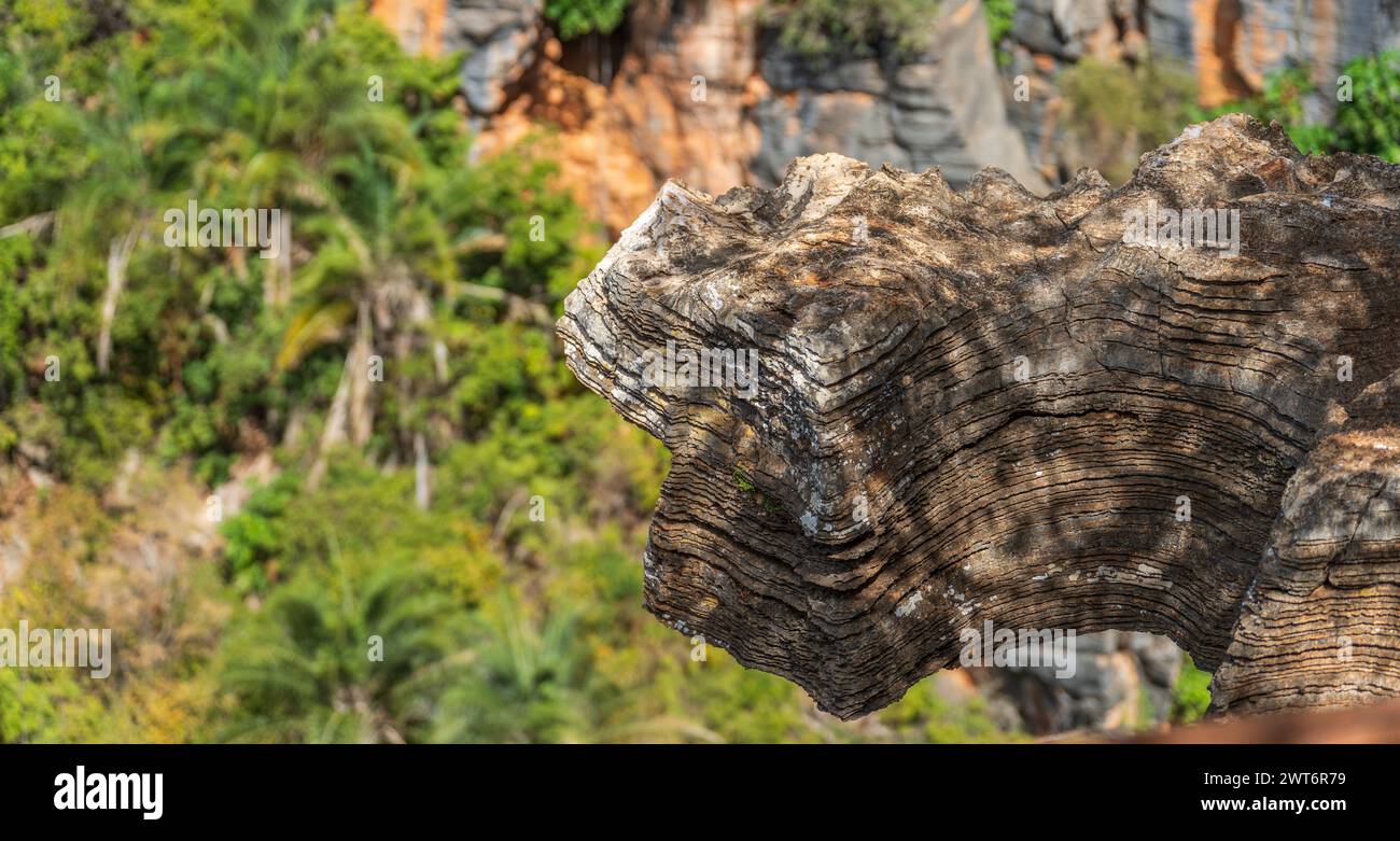 Ancient Rock Layers Overlooking Lush Green Forest Stock Photo - Alamy