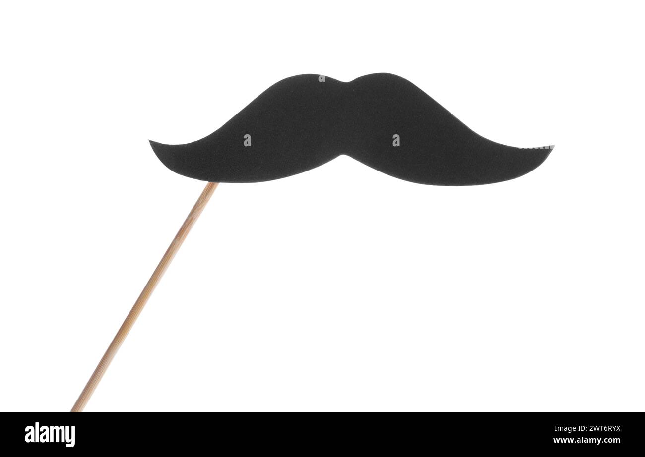 Fake paper mustache on stick against white background Stock Photo - Alamy