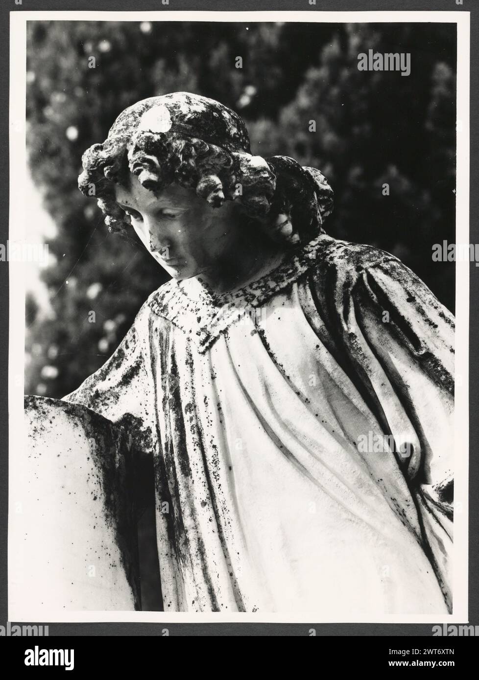 Umbria Terni Orvieto Madonna di S. Lorenzo in Vineis. Hutzel, Max 1960 ...