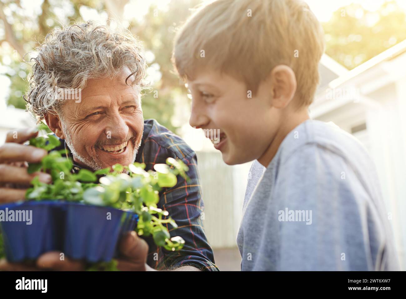 Gardening, plants and kid with learning and grandfather on greenery ...