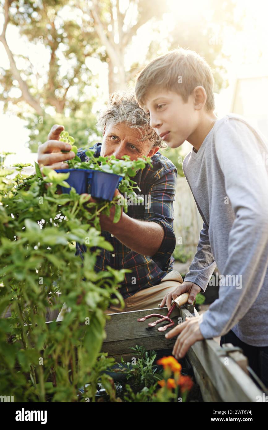 Gardening, plants and child learning with grandfather on greenery ...