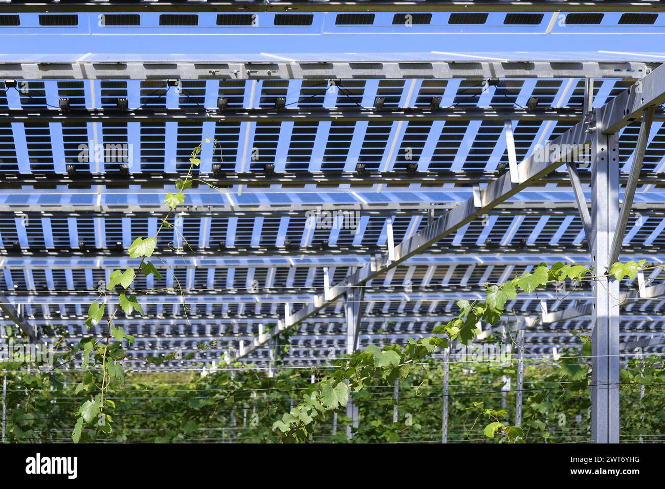 Energy photovoltaic solar hi-res stock photography and images - Alamy