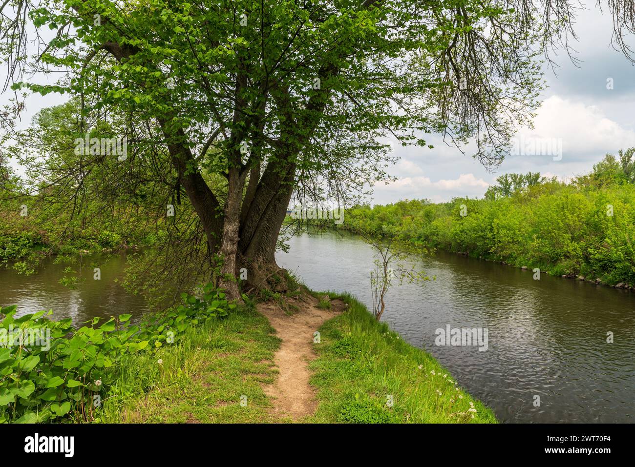 Conflix hi-res stock photography and images - Alamy