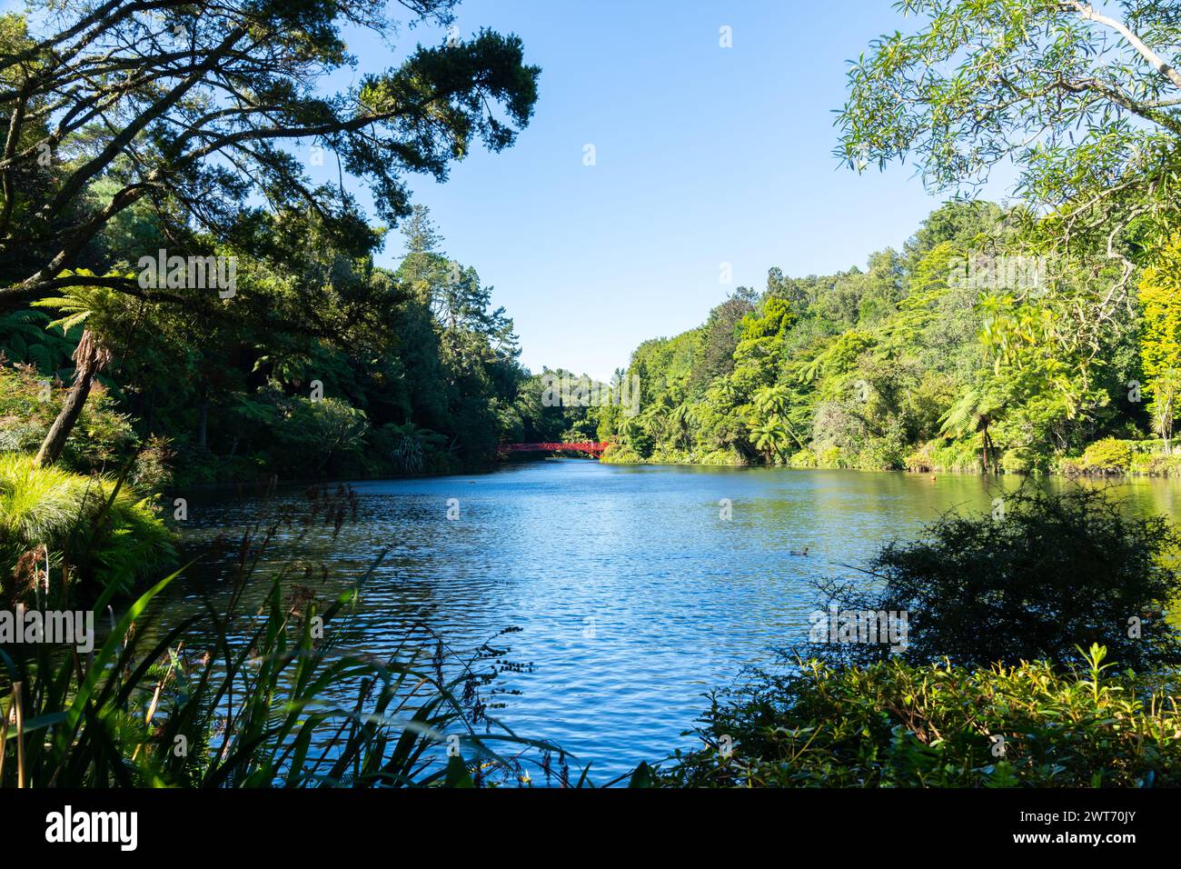 Scenic lake and native bush landscape in Pukekura Park, New Plymouth ...
