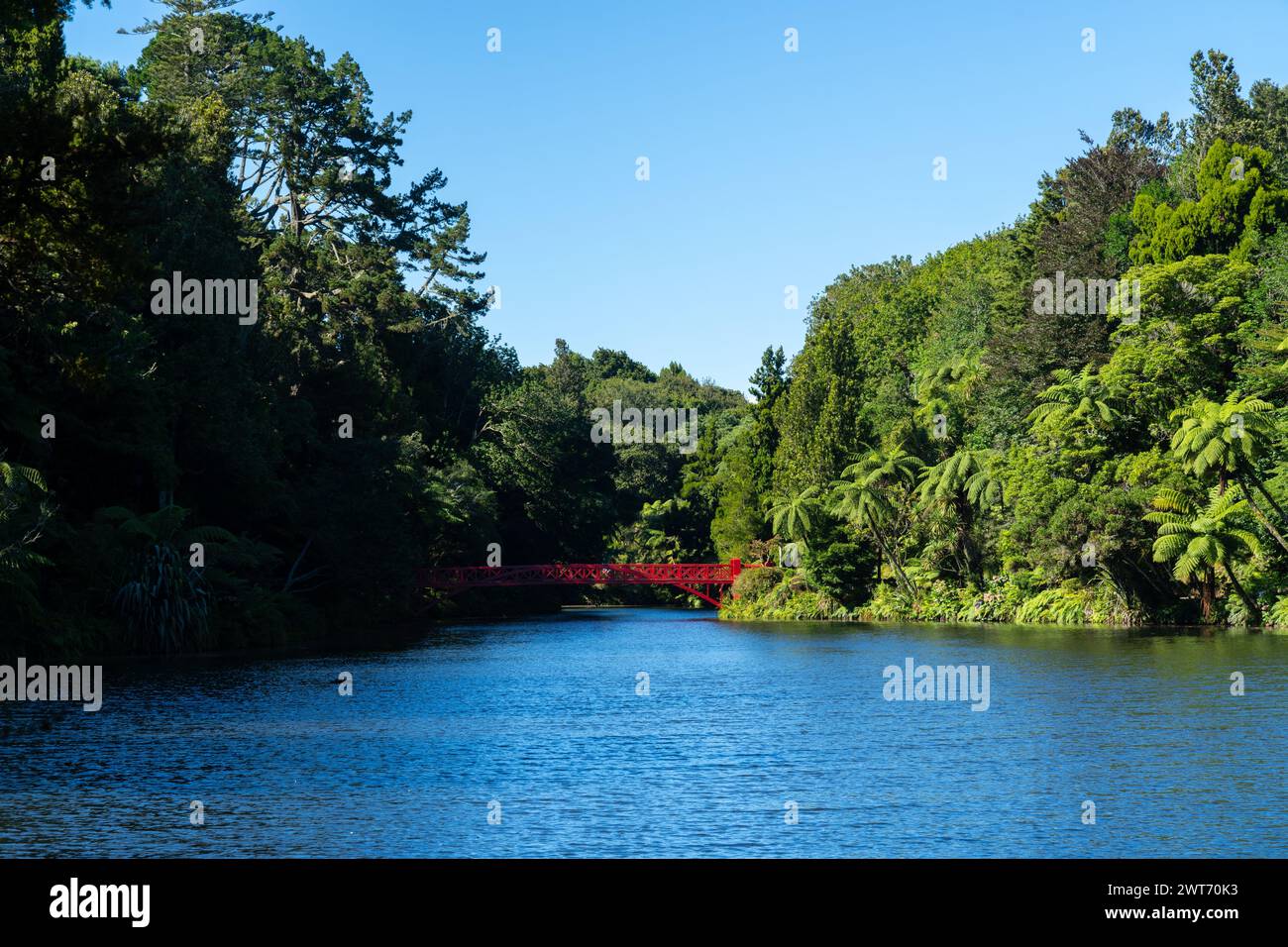 Scenic lake and native bush landscape in Pukekura Park, New Plymouth ...