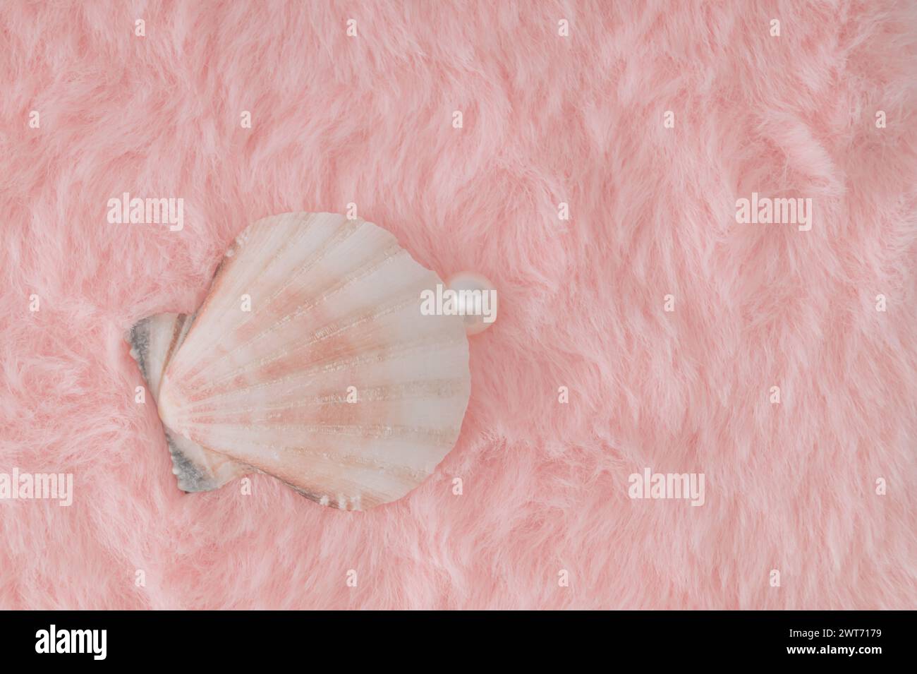 Creative close up composition made with sea shell and white pearl on ...