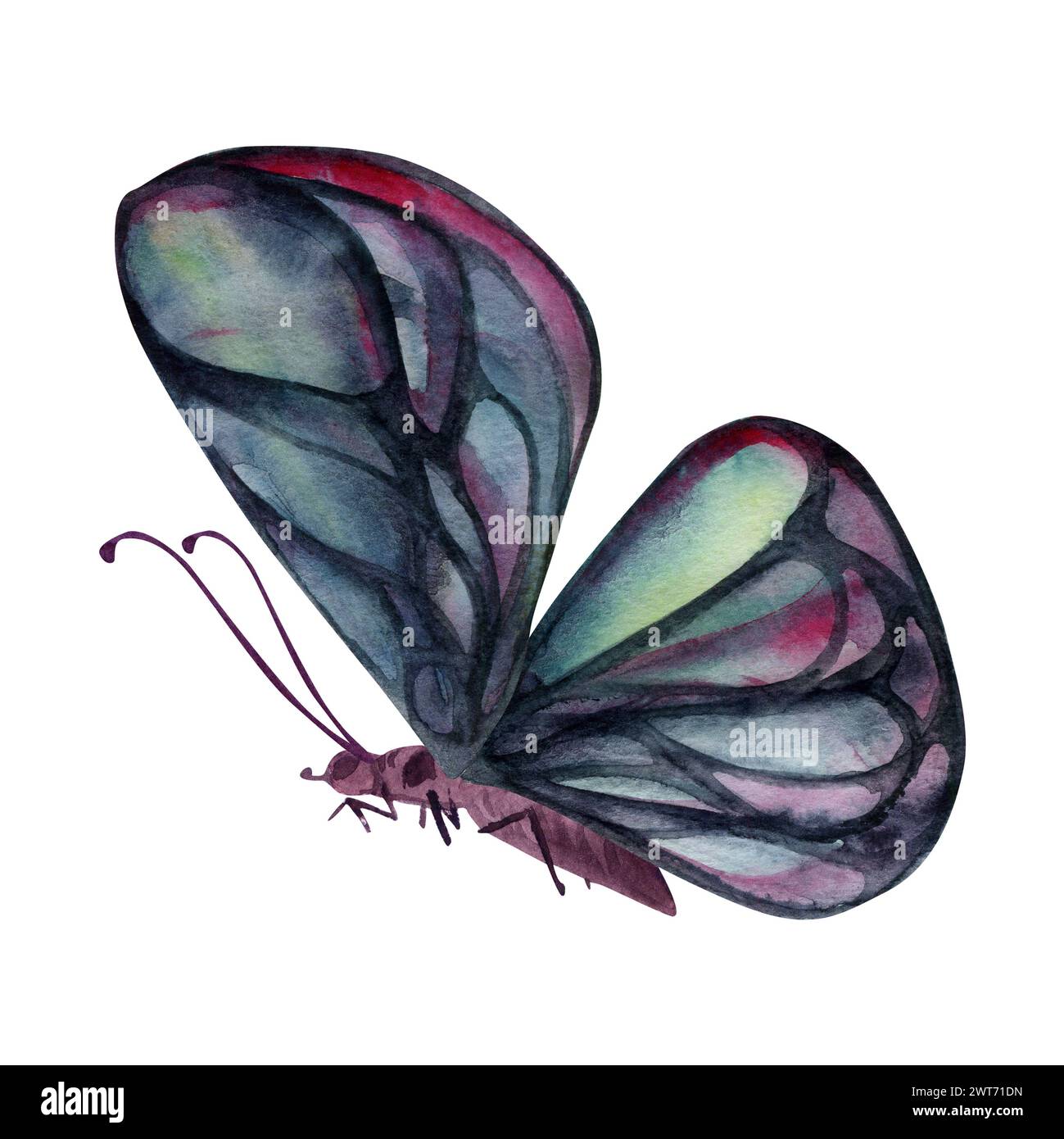 Hand drawn watercolor illustration butterfly fairy wings gem crystal ...