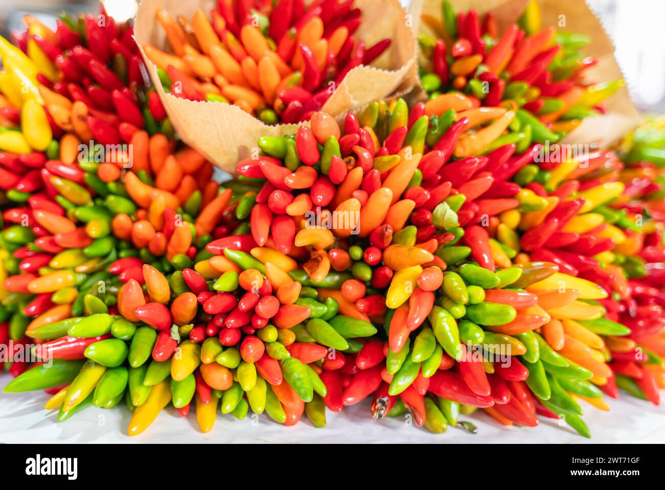 Sheaf of chili hi-res stock photography and images - Alamy