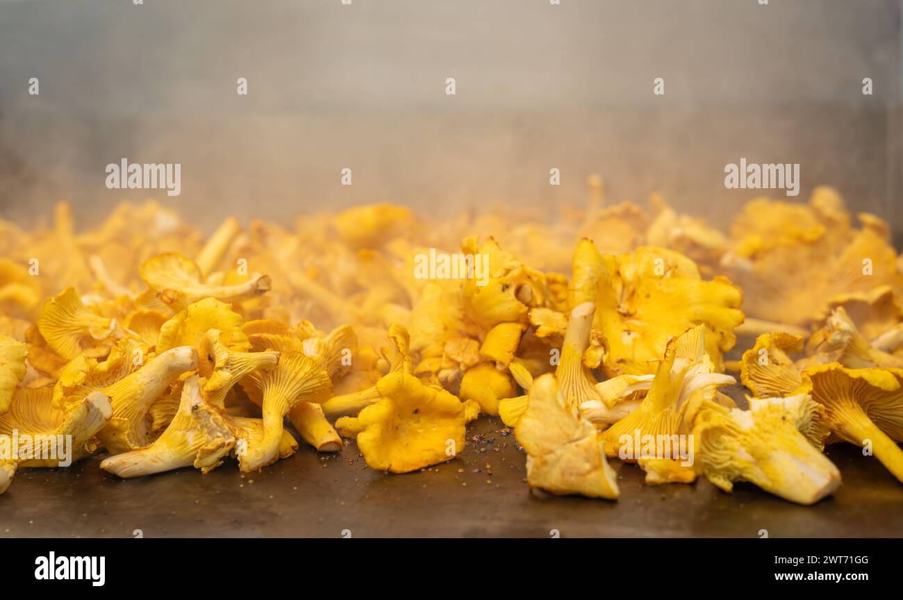 Fried chanterelles. Cooking delicious dish of mushrooms. Roasting ...