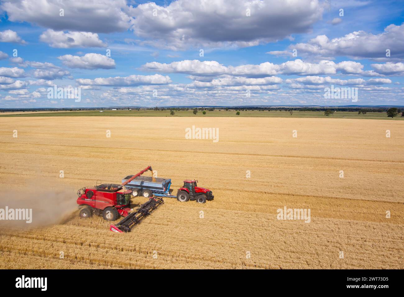 Aerial of combine harvester unloading into a bin chaser harvested wheat ...