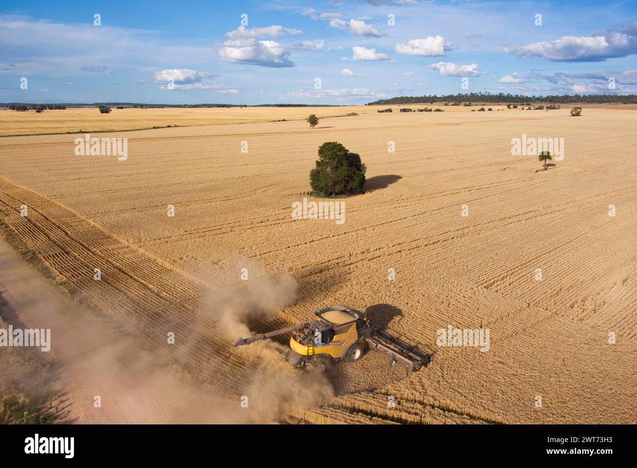 Aerial of combine harvester wheat harvesting near Wallumbilla on the ...
