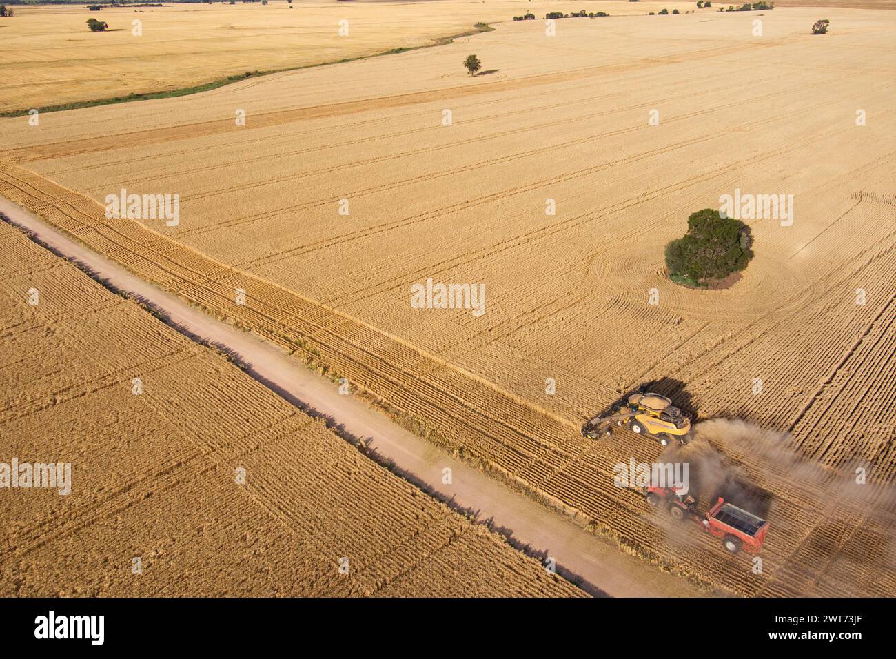 Aerial of combine harvester wheat harvesting near Wallumbilla on the ...