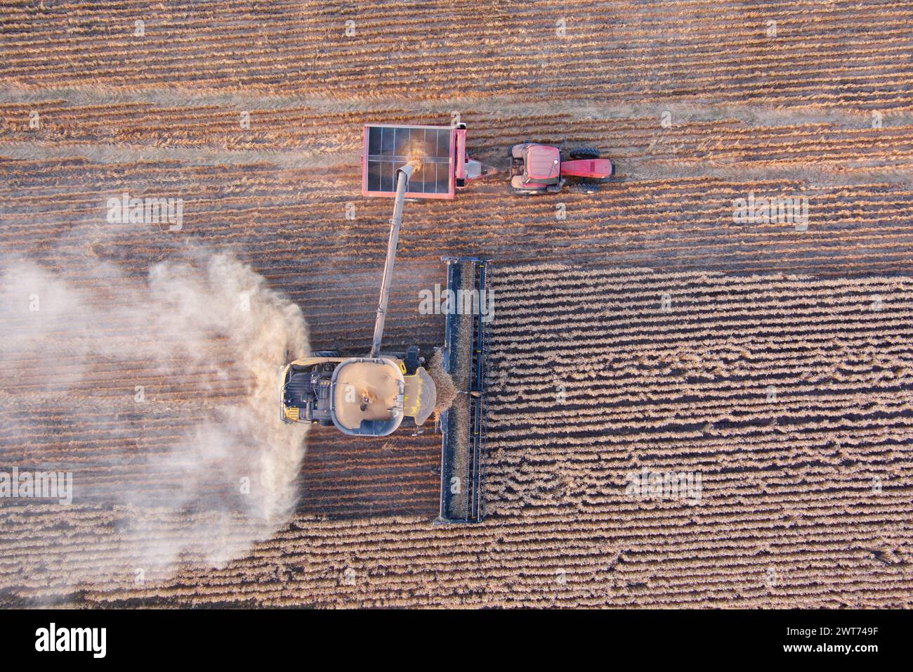 Aerial of combine harvester unloading harvested wheat onto a bin chaser ...