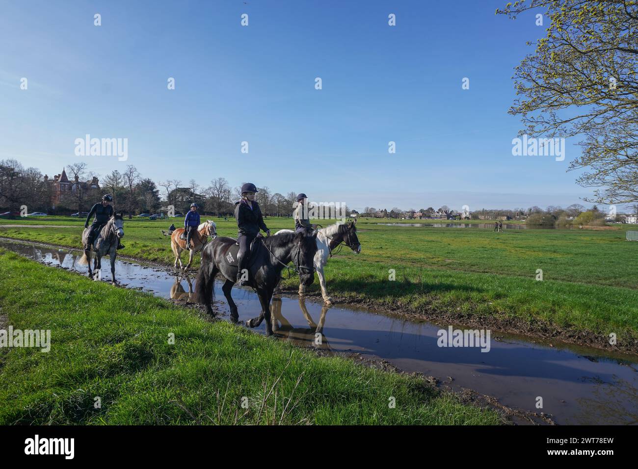 London, UK 16 March 2024 . Riders on horseback on Wimbledon Common ...