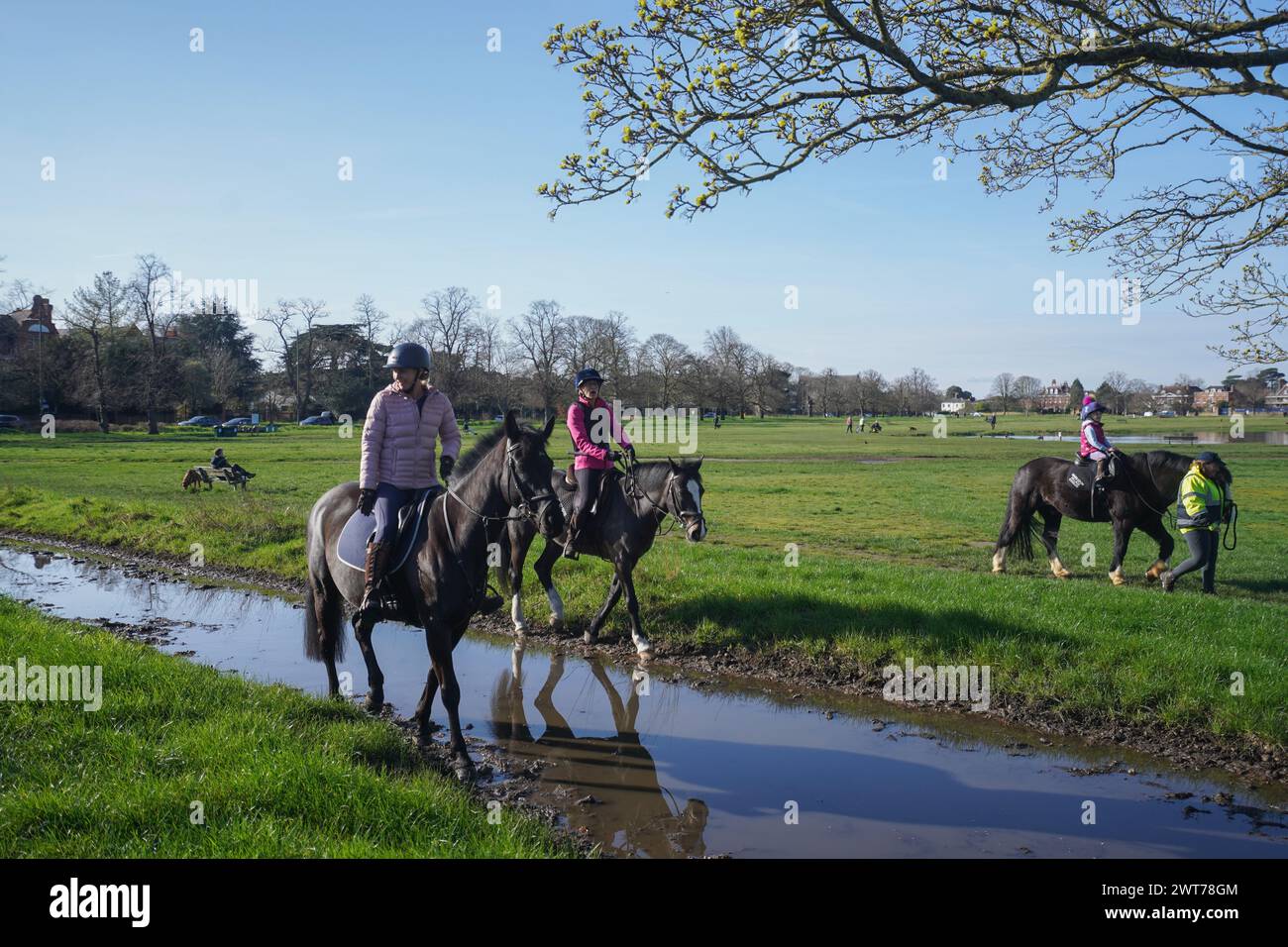 London, UK 16 March 2024 . Riders on horseback on Wimbledon Common ...