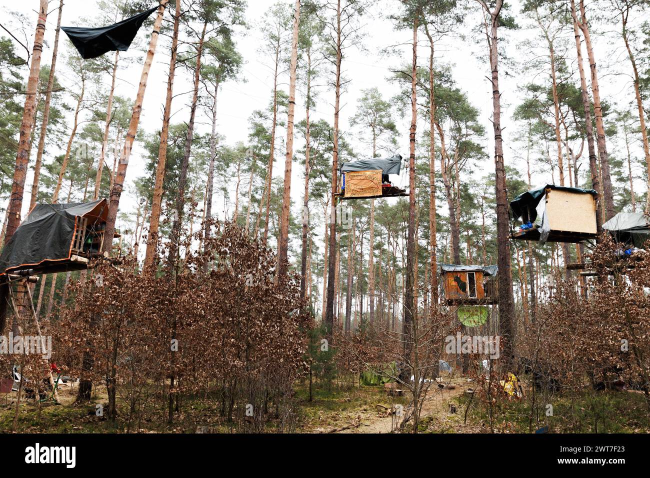 16 March 2024, Brandenburg, Grünheide: Tree houses hang in a camp of ...