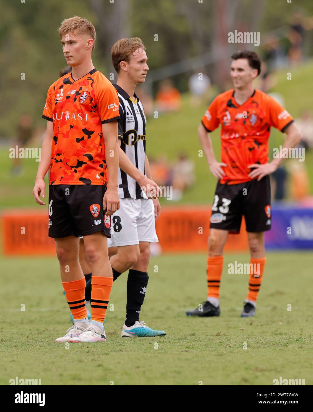 Brisbane, Australia. 16th March 2024. Thomas Waddingham (16 Brisbane ...