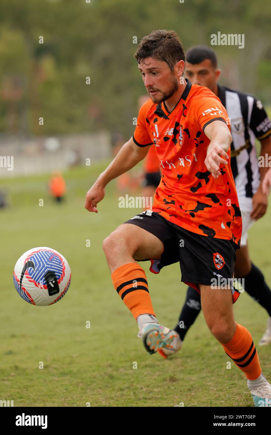 Rodrigo starling hi-res stock photography and images - Alamy