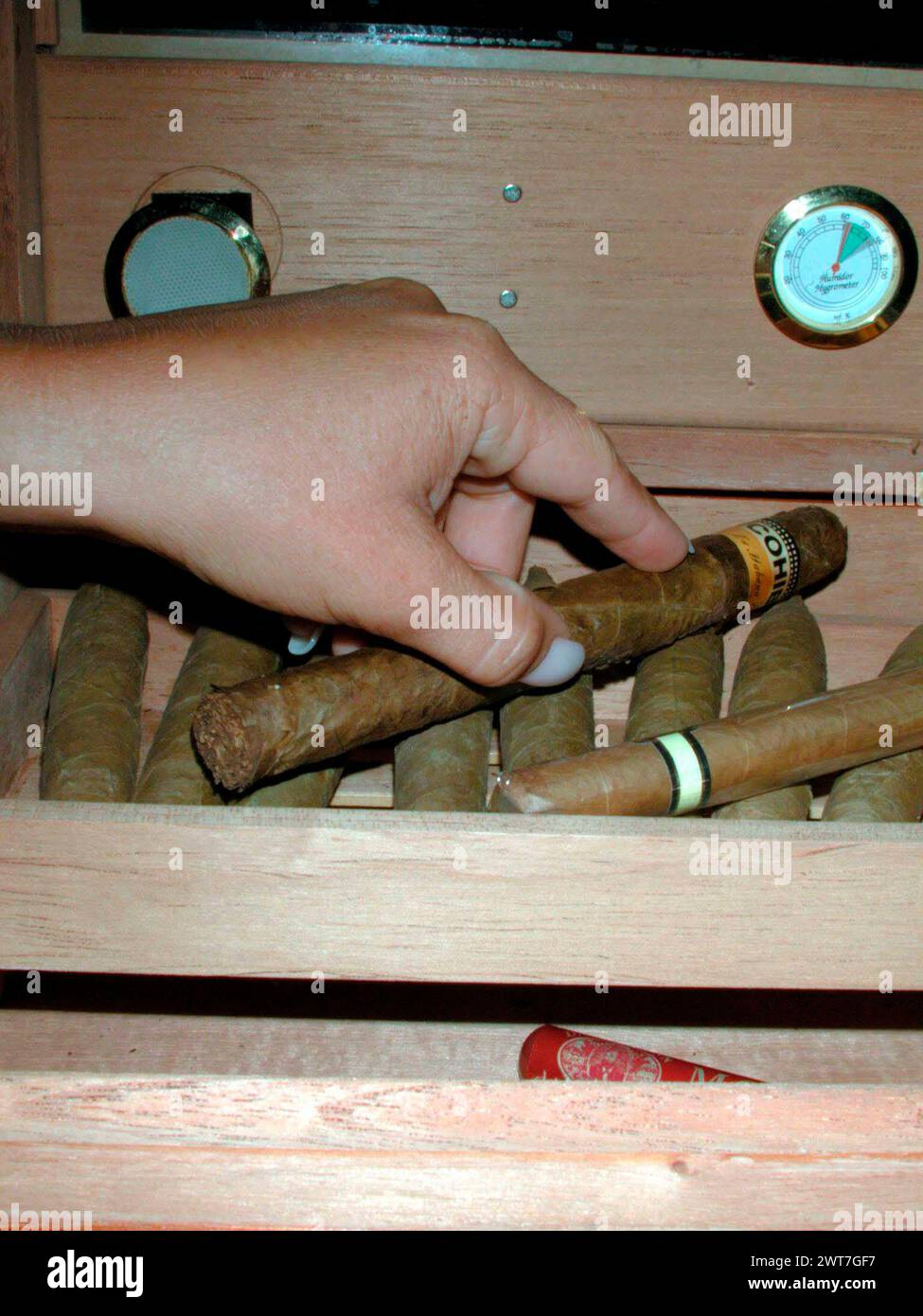 the smoking of cigars, cause of drug and nicotine addiction smoking of ...