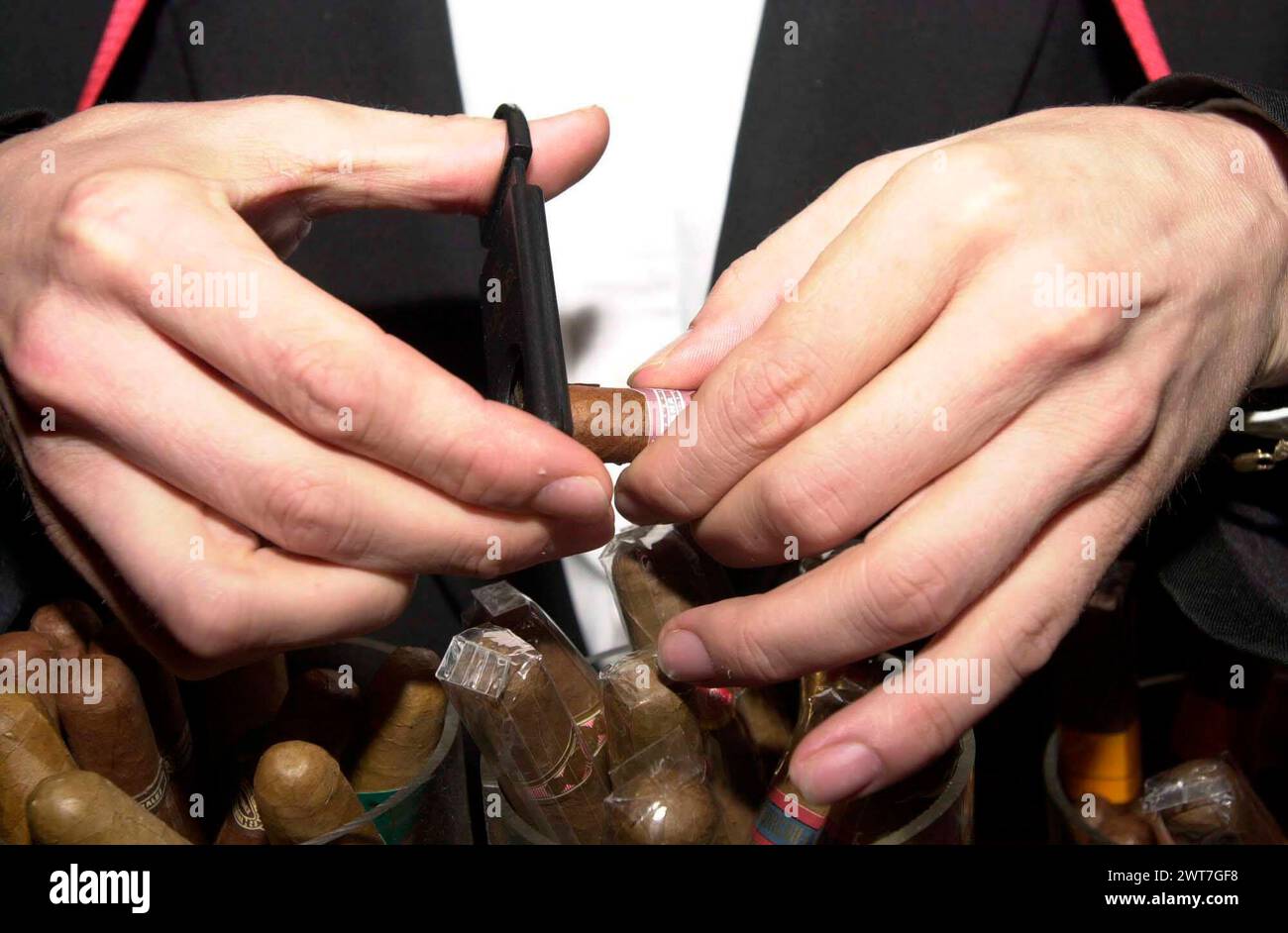 the smoking of cigars, cause of drug and nicotine addiction smoking of ...