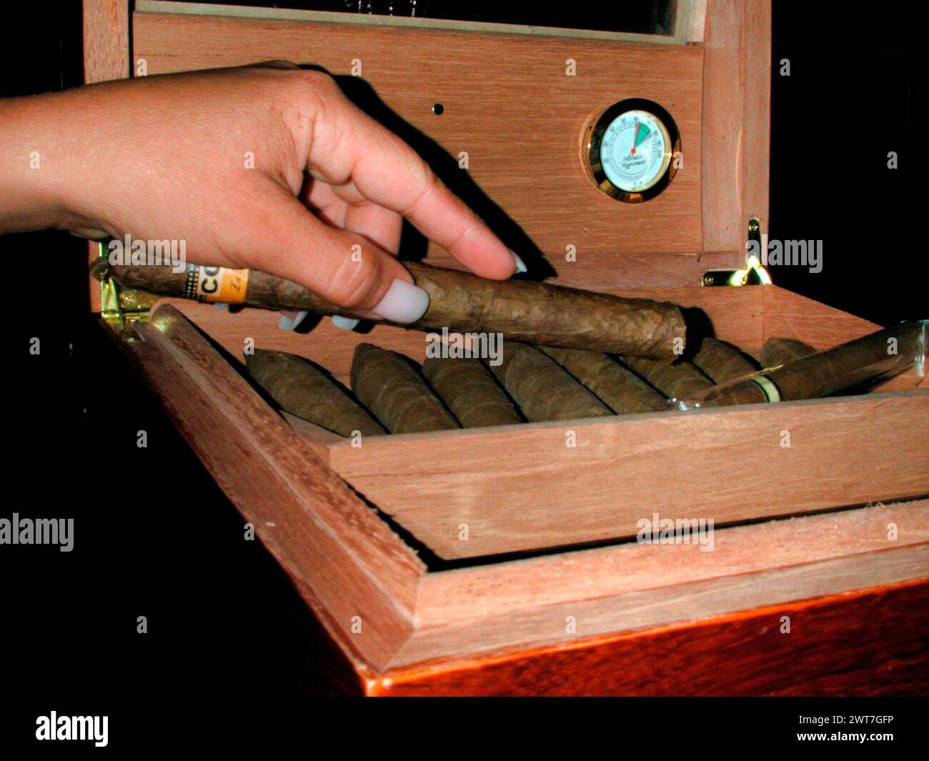 the smoking of cigars, cause of drug and nicotine addiction smoking of ...