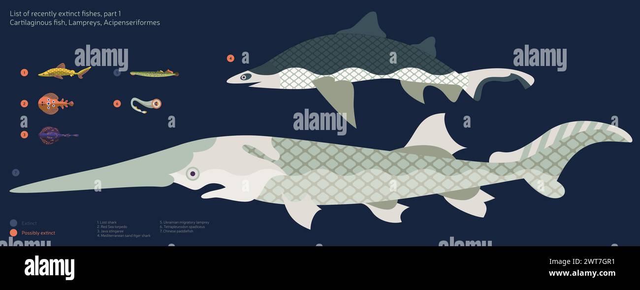 A vector flat fishes set - numbered list of recently extinct fishes on ... A vector flat fishes set - numbered list of recently extinct fishes on ...