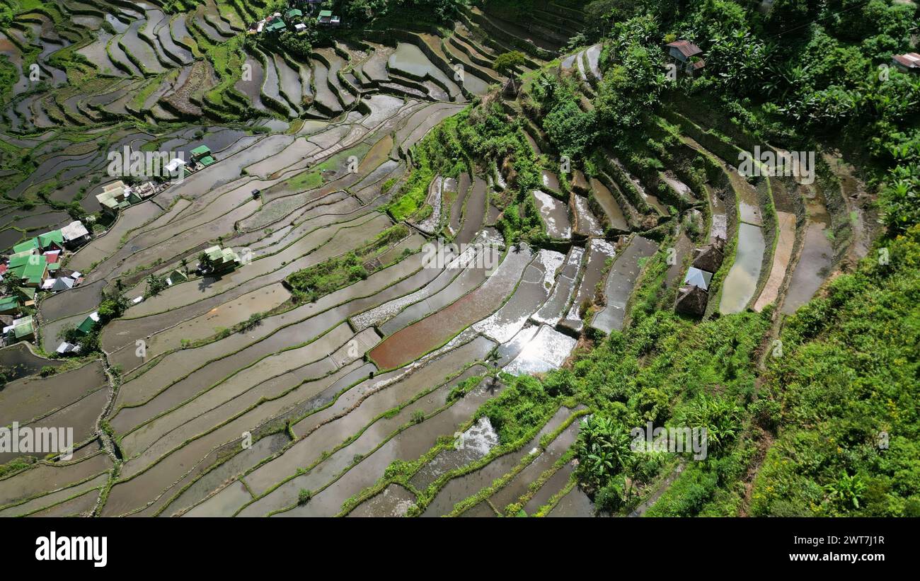 Batad Rice Terraces in Philippines Stock Photo - Alamy
