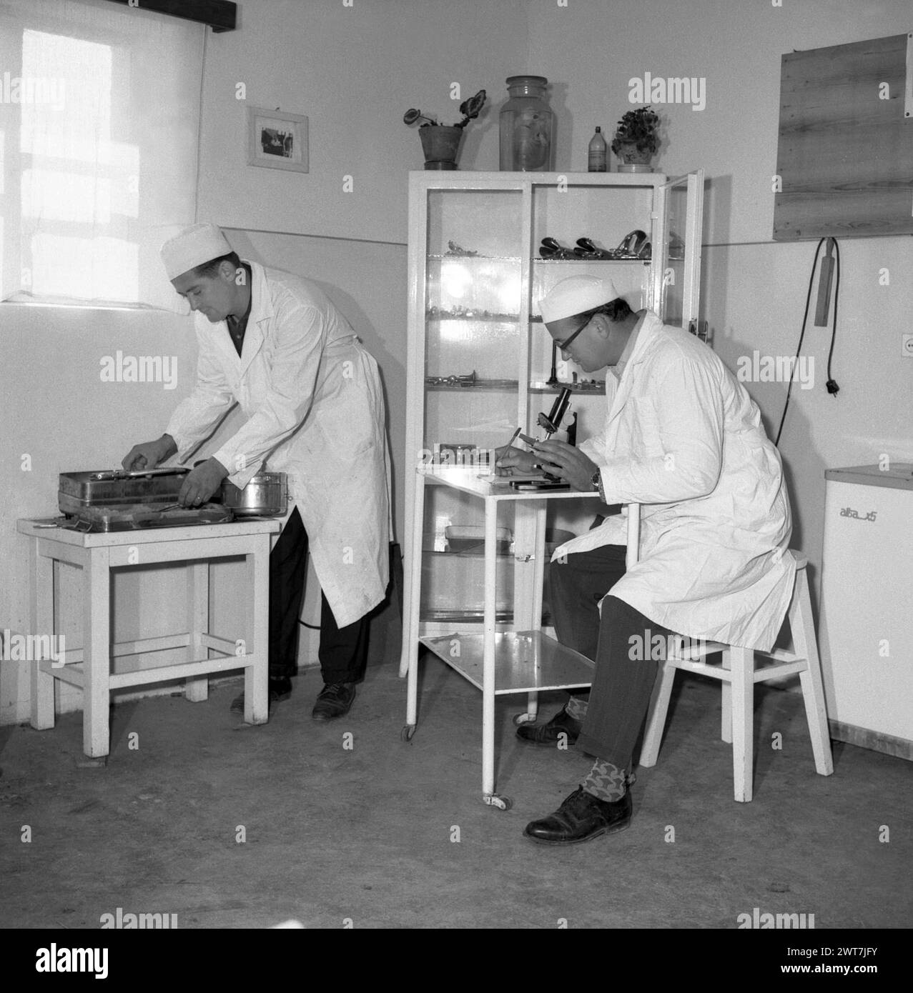 State agricultural cooperative in communist Romania, in the 1970s. Lab ...