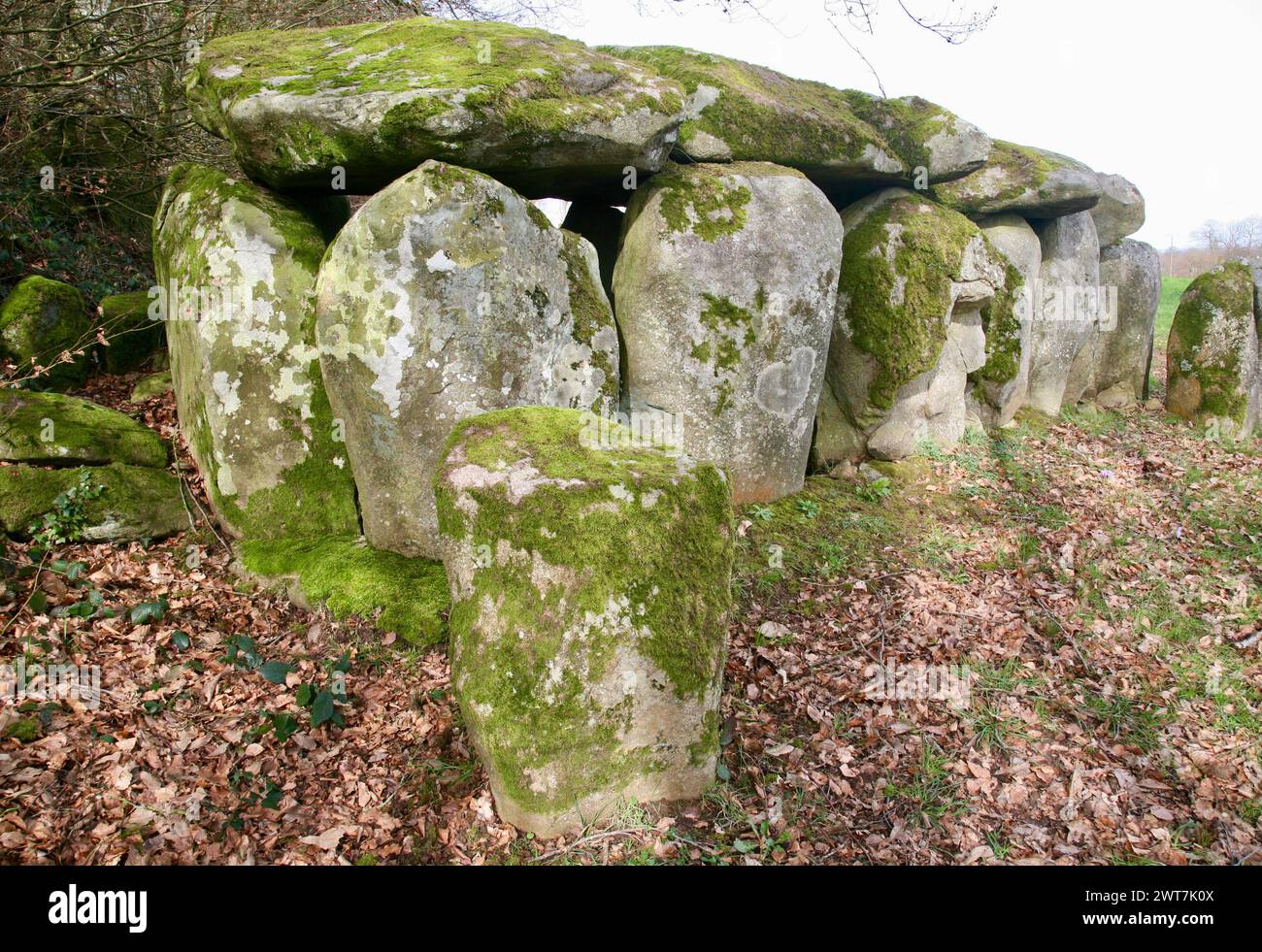 A close up view of La Table aux Diables or more often known as the ...