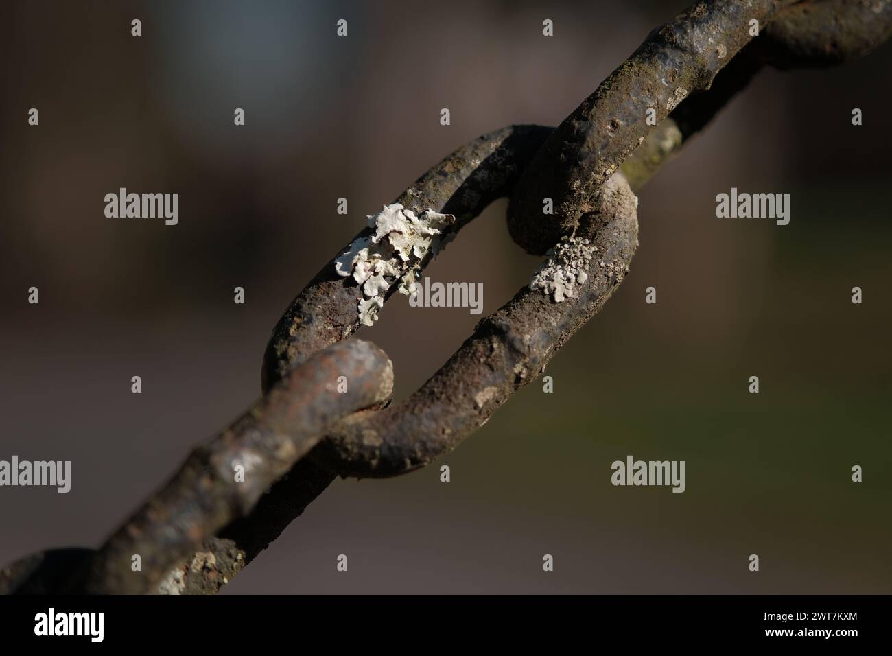 Weathered chain link with corrosion and rust close up Stock Photo - Alamy