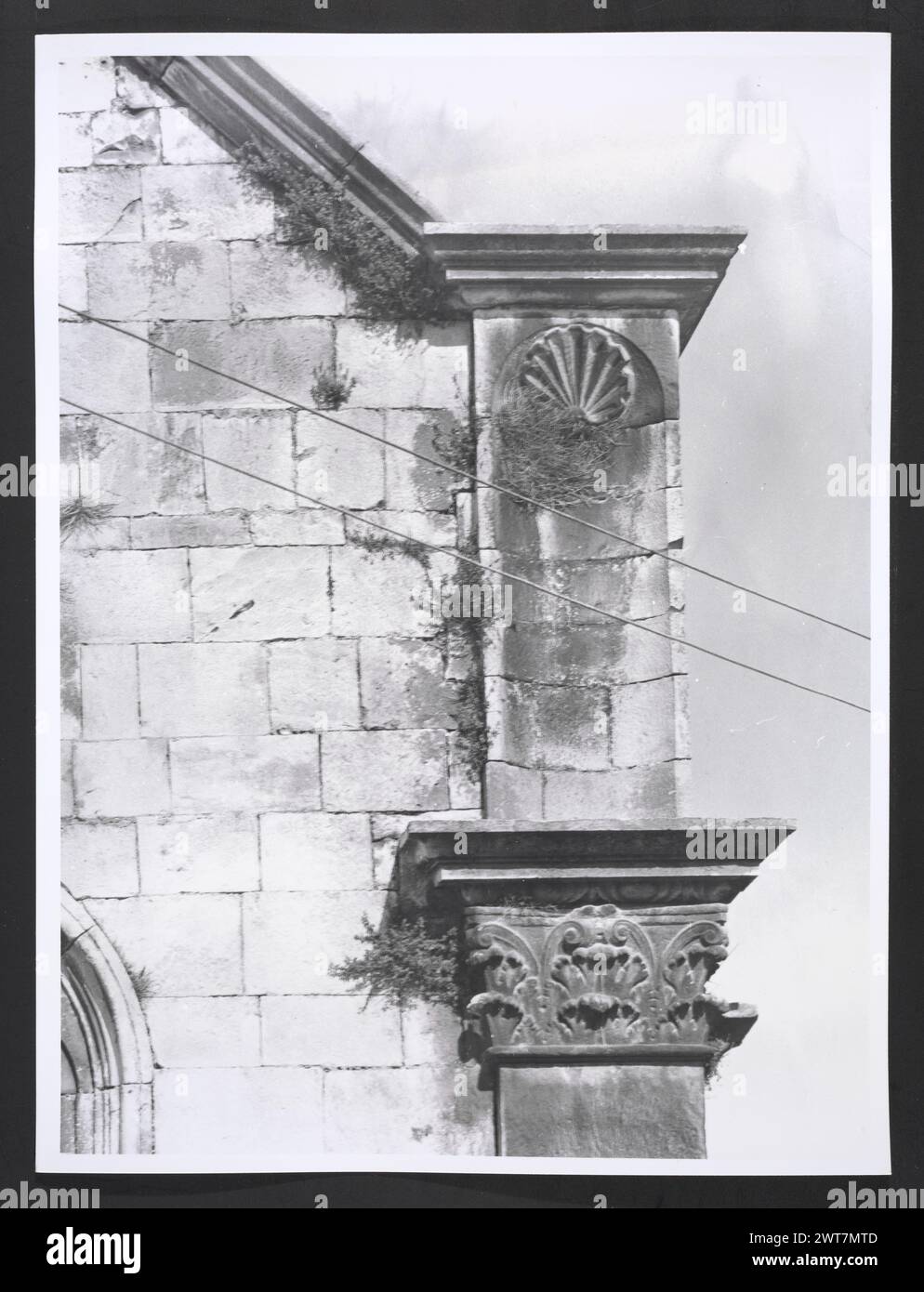 Puglia Bari Palo del Colle Cathedral, S. Maria della Porta. Hutzel, Max ...